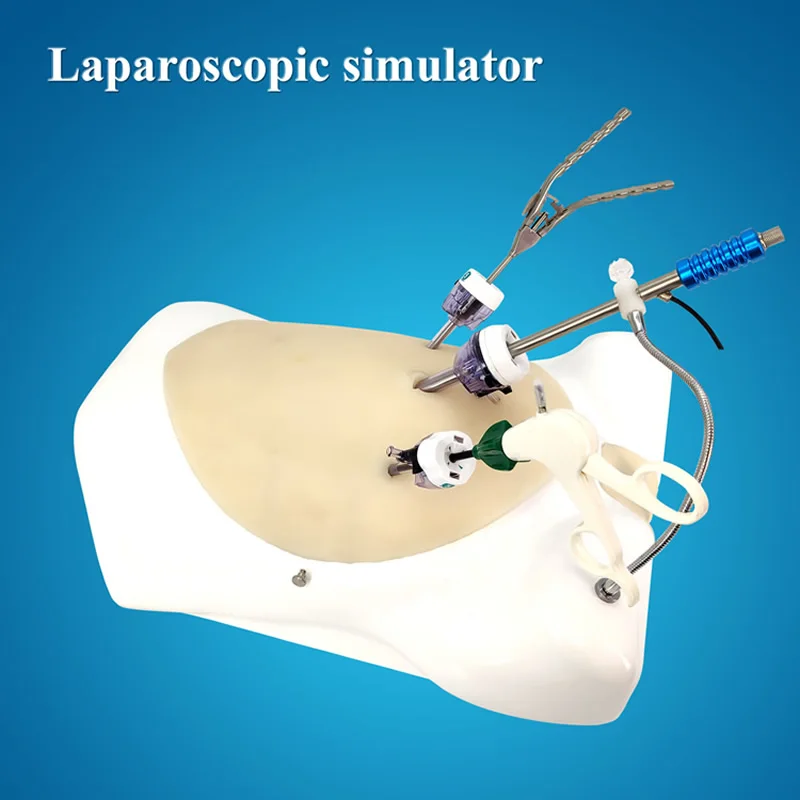 Laparoscopic-simulator-laparoscopic-training-simulator-Soft-abdomen ...
