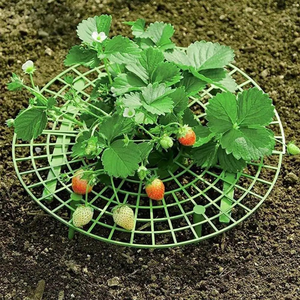 Strawberry Stand Frame Holder Balcony Planting Rack Fruit Support Plant ...