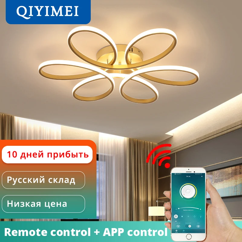 Remote control Ceiling Lights for living room bedroom White balck body ...