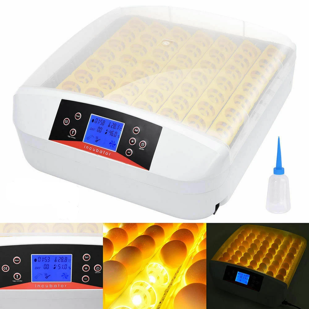 Yonntech 56 Eggs Incubator Automatic Hatcher Poultry Egg Incubator ...