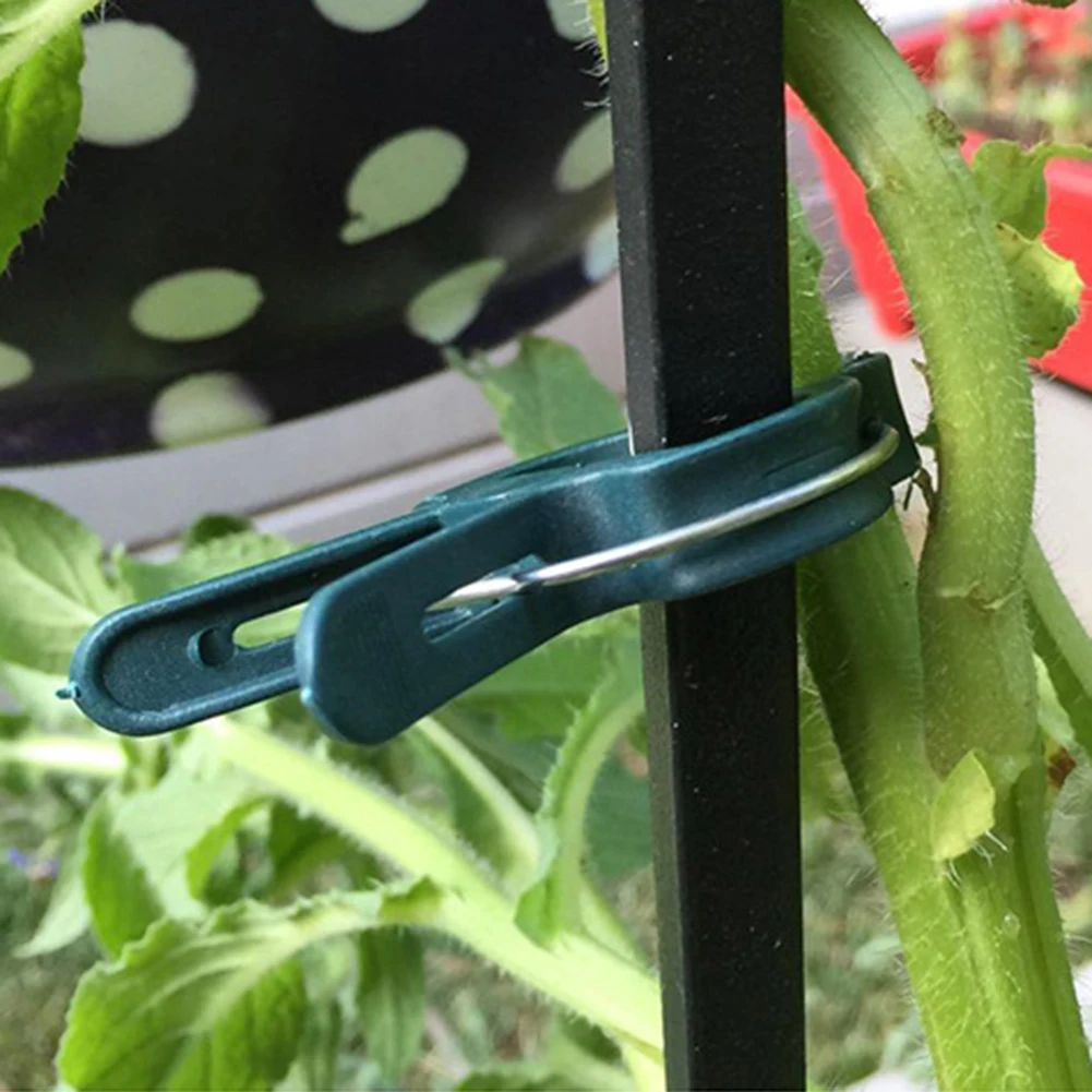 Outils de jardinage,Clips fixes réutilisables pour plantes de jardin ...