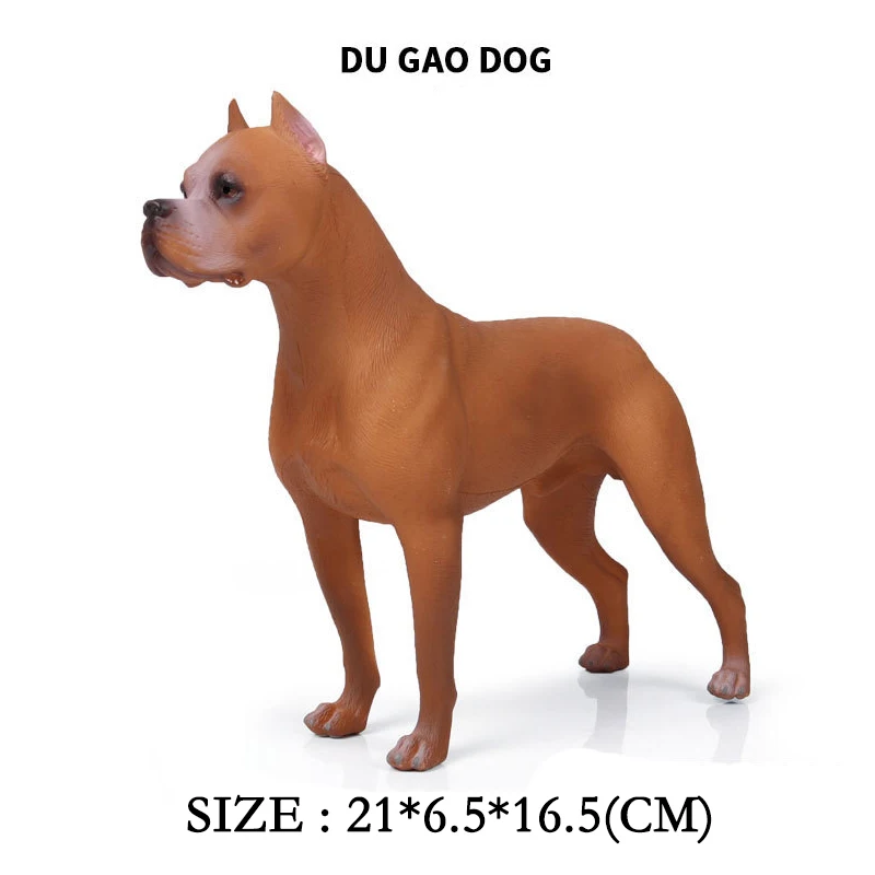 Dogo Argentino Vs Rottweiler