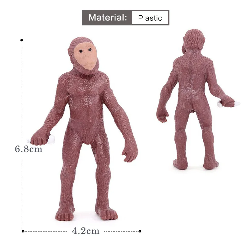 Human Evolution Grabber