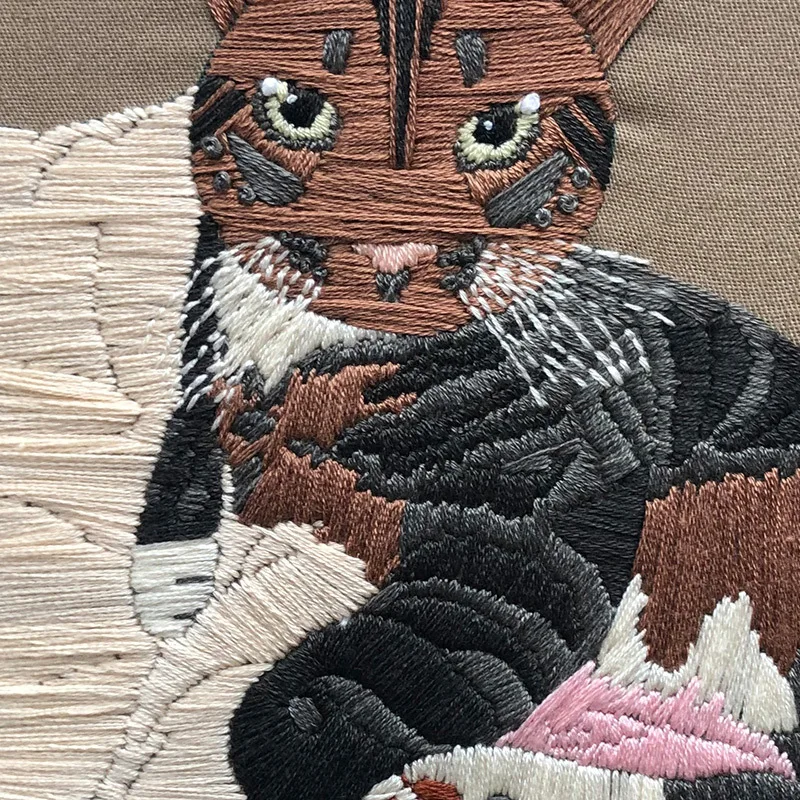 Support à broder,Kits de fils de tissu de broderie chat mignon débutant ...