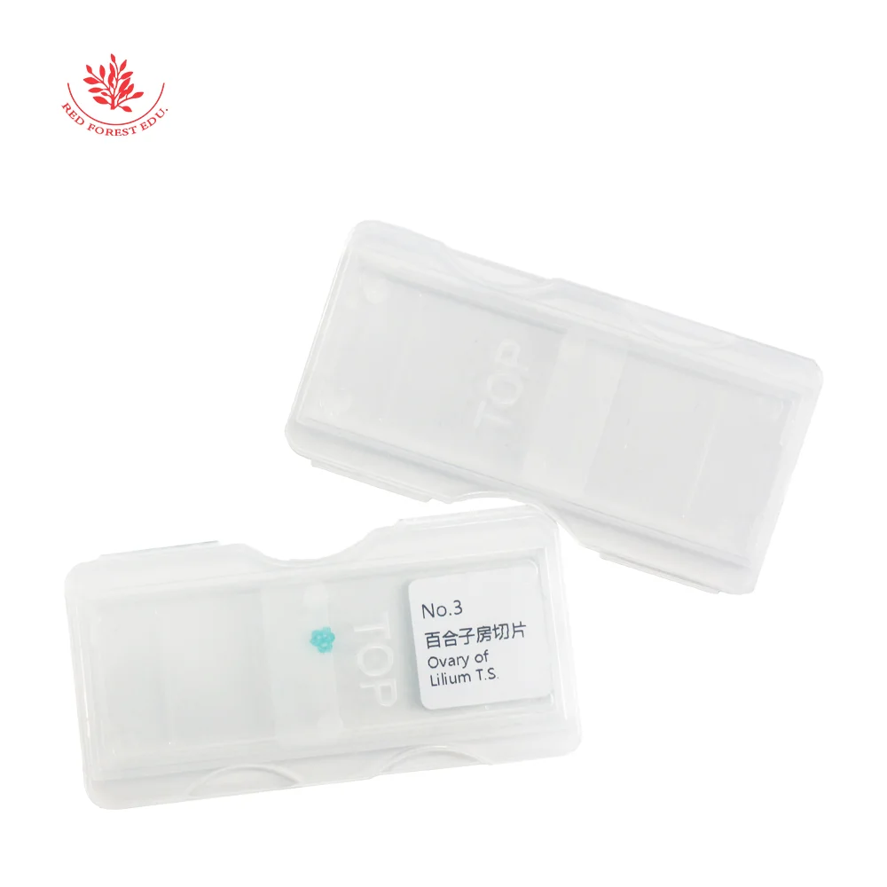 301 Moved Permanently