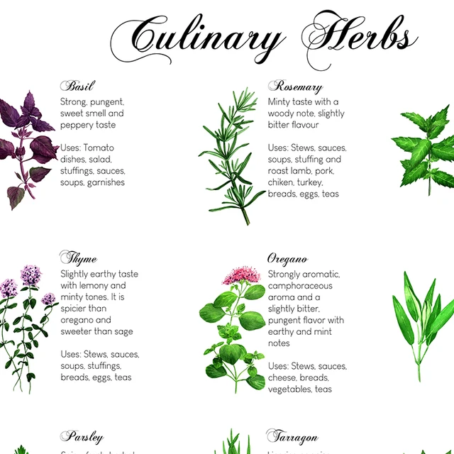 Aromatic Herbs Chart
