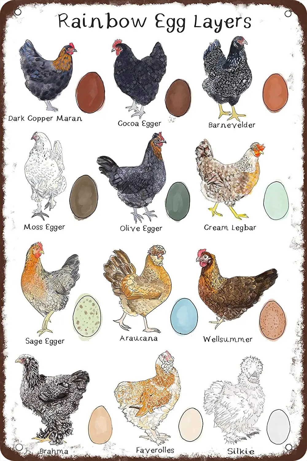 Rooster Breeds Chart