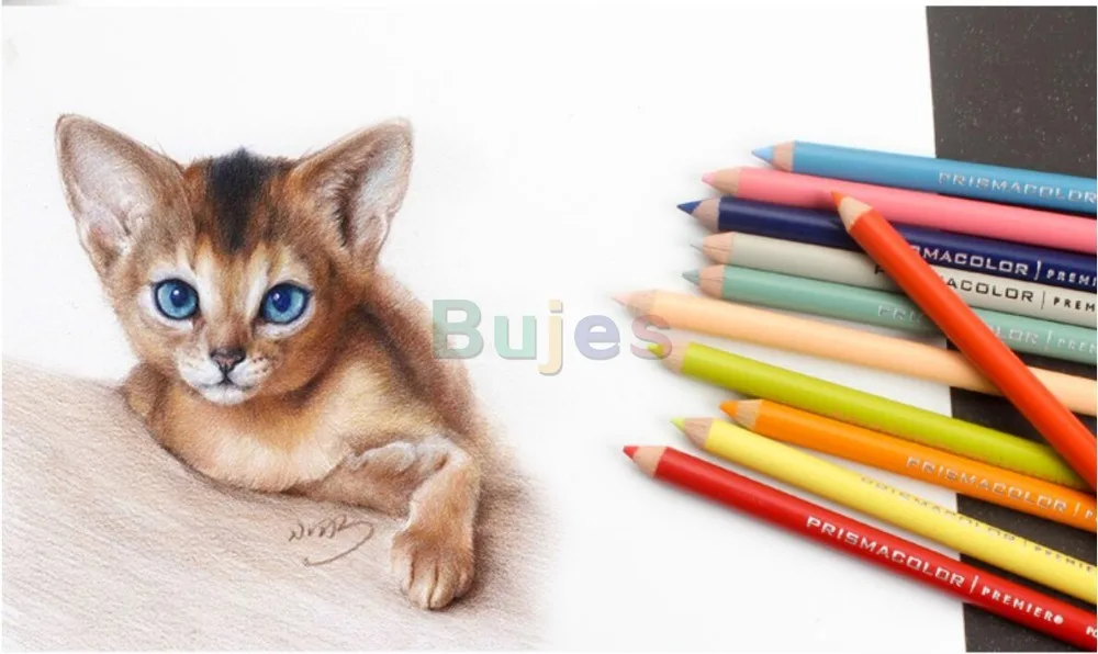 etwas Diktatur Mama sanford prismacolor premier buntstifte Vereinen ...