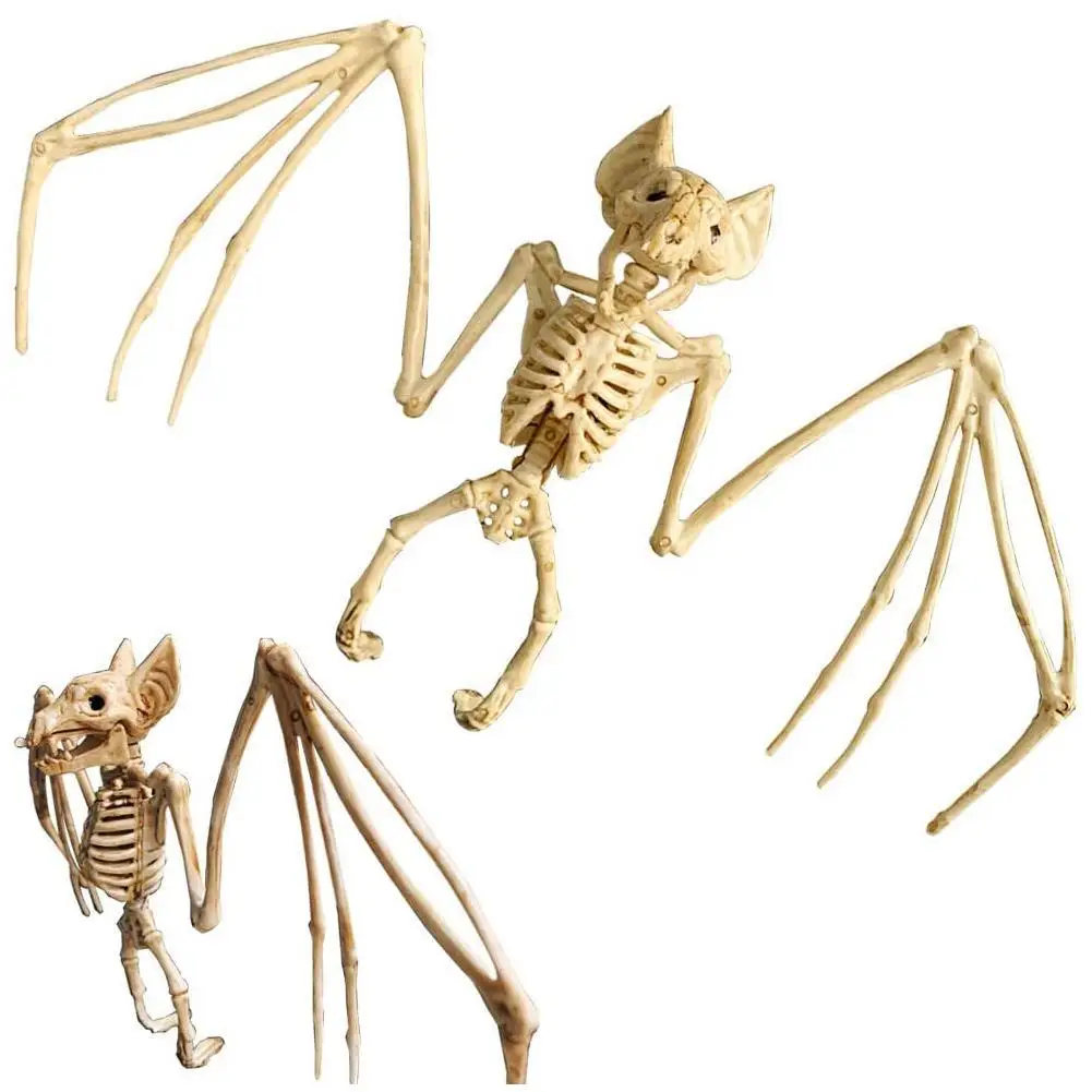 Funny Scary Animals