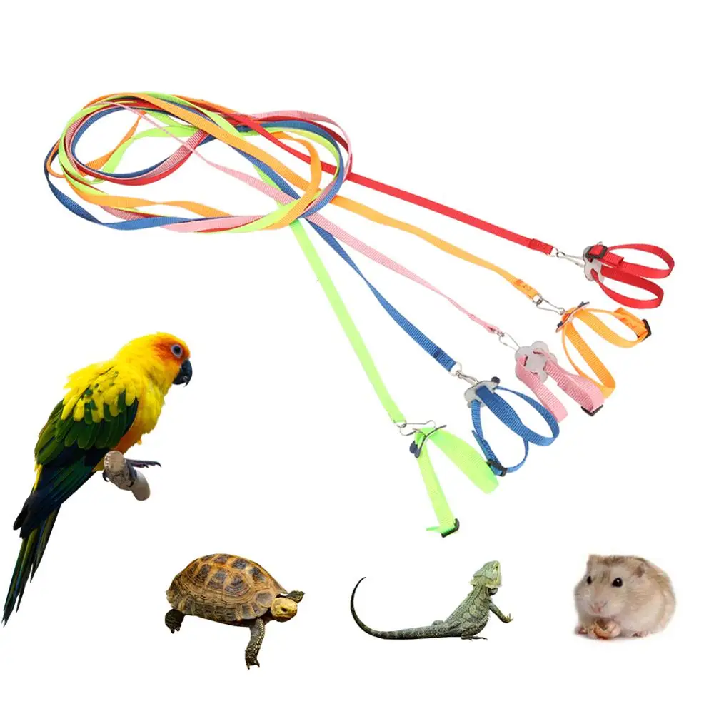 Adjustable Pet Harness Reptile Leash Turtle Gerbil Lizard Outdoor ...