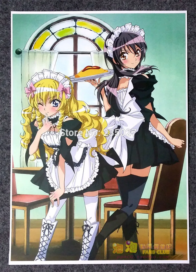 Cameriera Sama Usui Cosplay