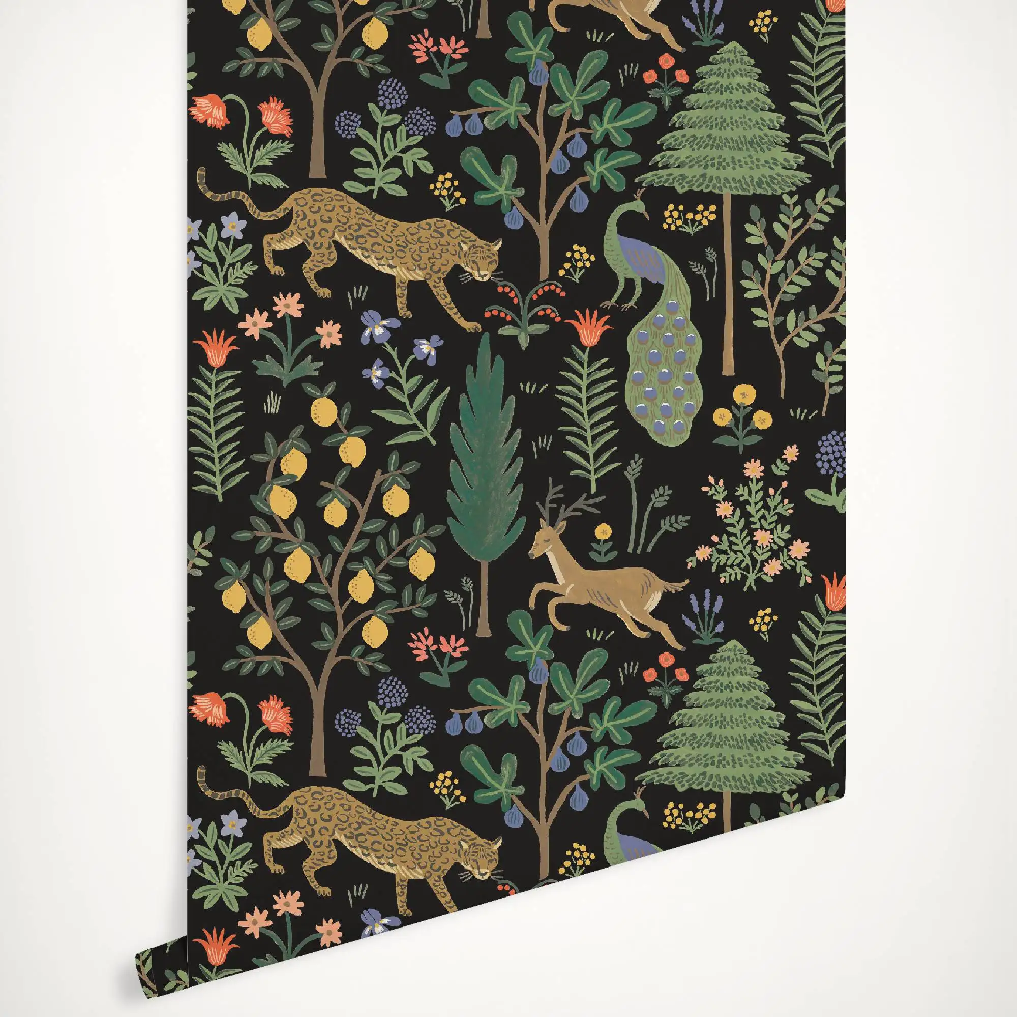 Tropical Rainforest Animals Wallpaper