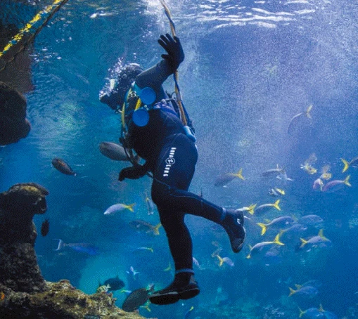 Dive Buddy ROV Submarine Drone Underwater Robot with Camera – SmeshMega.com