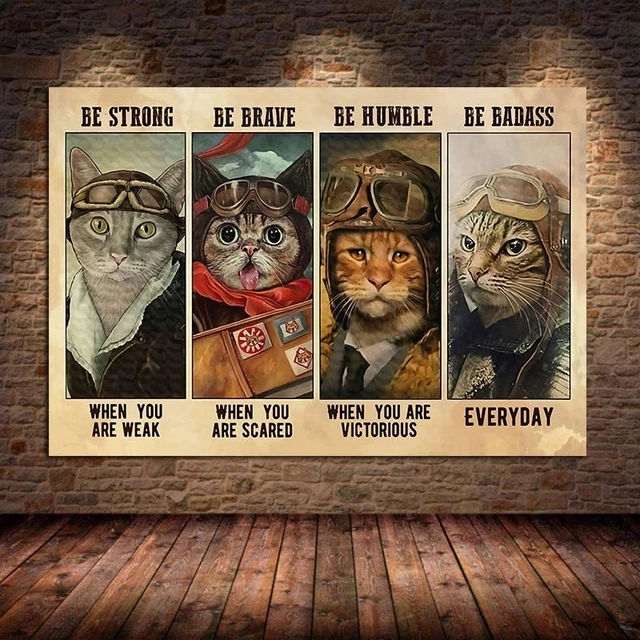 Air Force Funny Posters