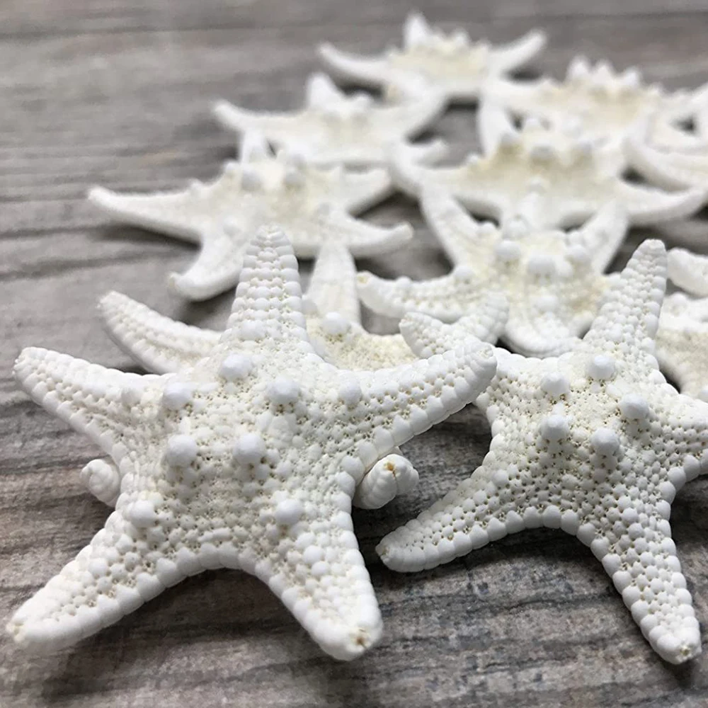 White Starfish Sea Stars 3 Mini Knobby Starfish Craft Supplies & Tools ...