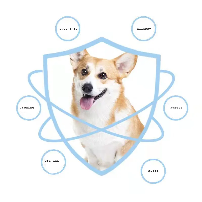 Pet Skin Topical Ointment To Treat Ringworm, Eczema,