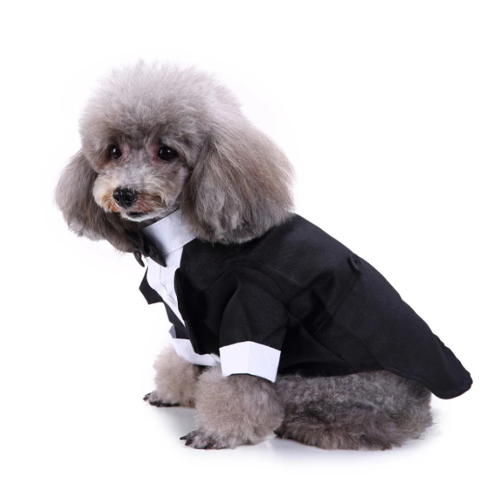 Cavalheiro cachorro camisa filhote de cachorro roupas para animais de ...