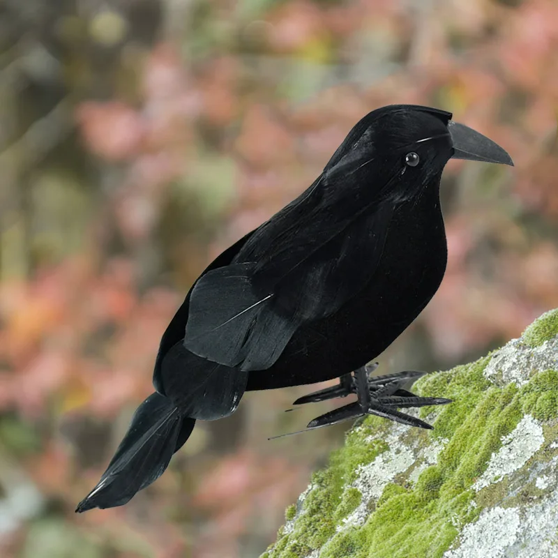 Scary Raven Bird