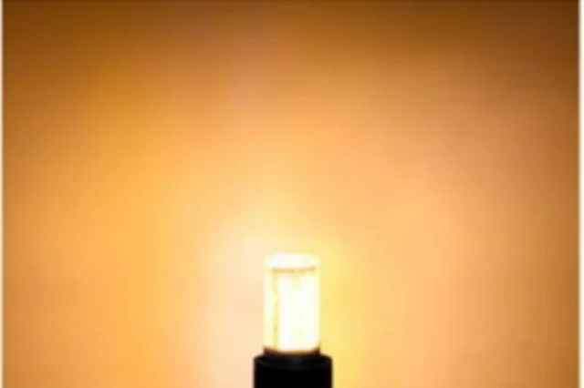 zxjien YAN 117788 Store