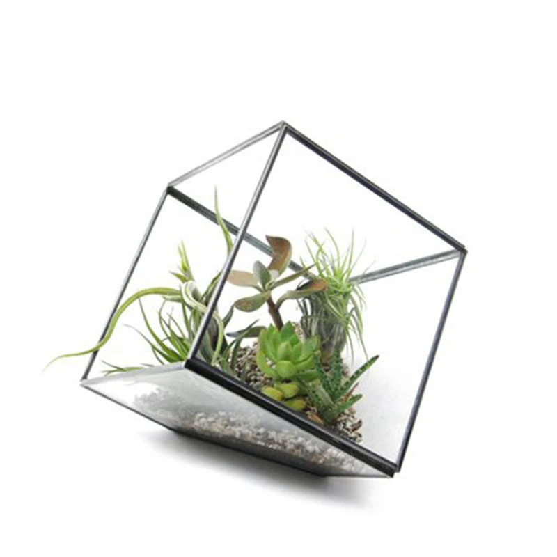 The Cube Shape Plant Solder Glass Terrarium Kit Creative Flower Vase ...