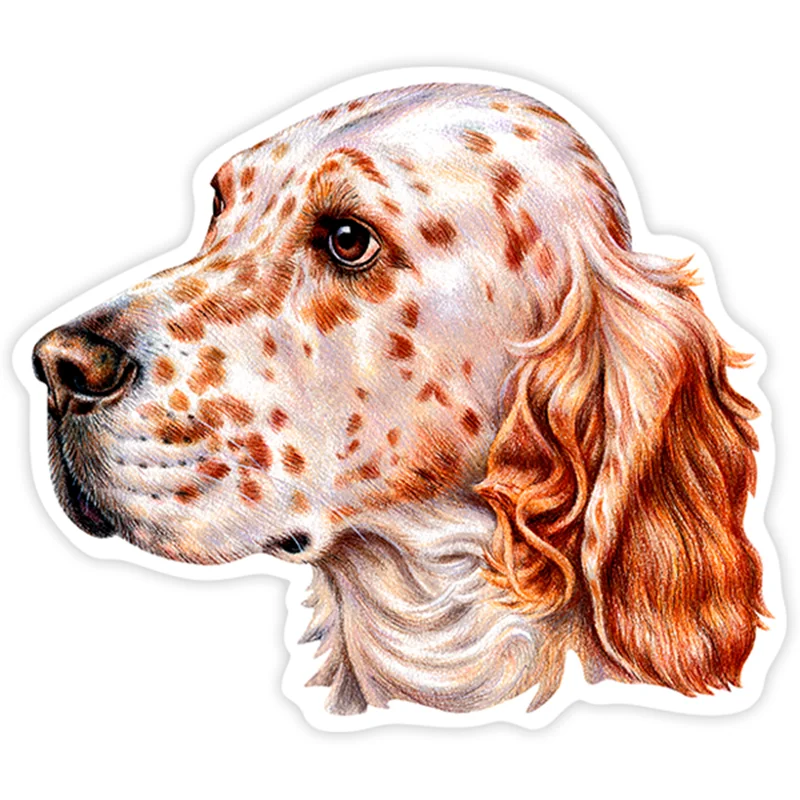 S40213-Various-Sizes-PVC-Decal-English-Setter-Car-Sticker-Waterproof-on ...