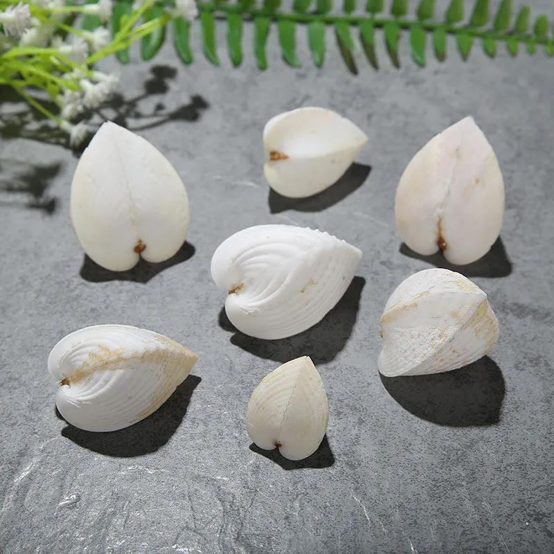 Clam Heart | atelier-yuwa.ciao.jp