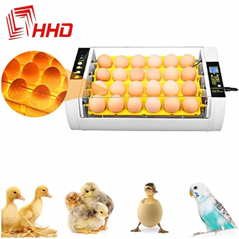 Full Automatic LED 24 Egg Incubator Hatchery Machine Temperature ...