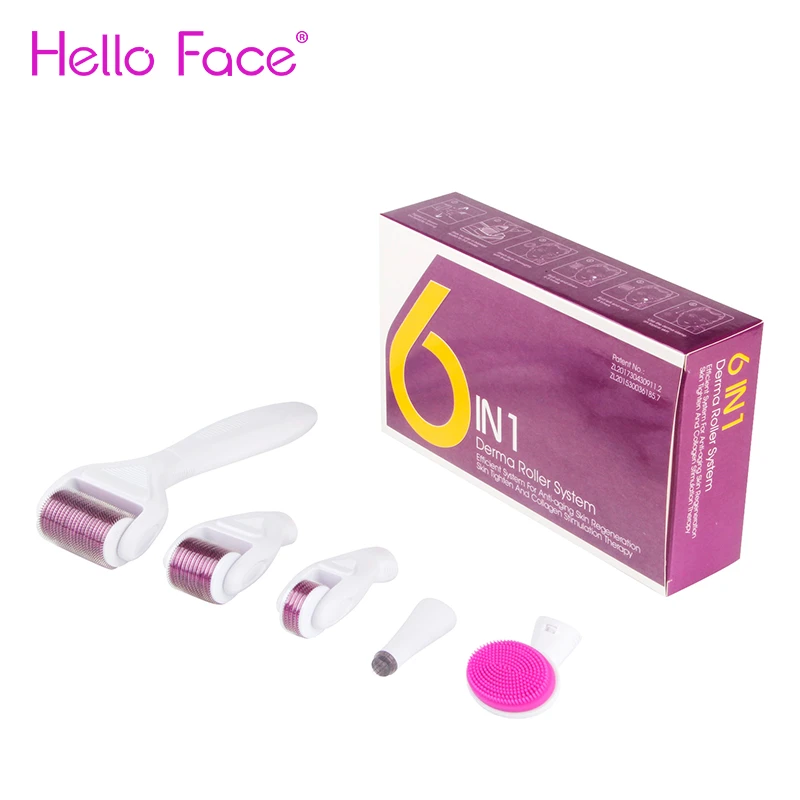 Derma Roller Kit 6 In 1 Drs Dermaroller Beard Roller Face Roller Derma ...