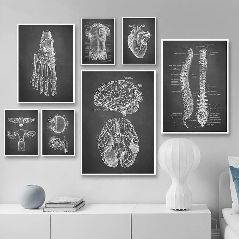 Black Wall Art Human Anatomy Canvas Painting Medical Wall Picture ...