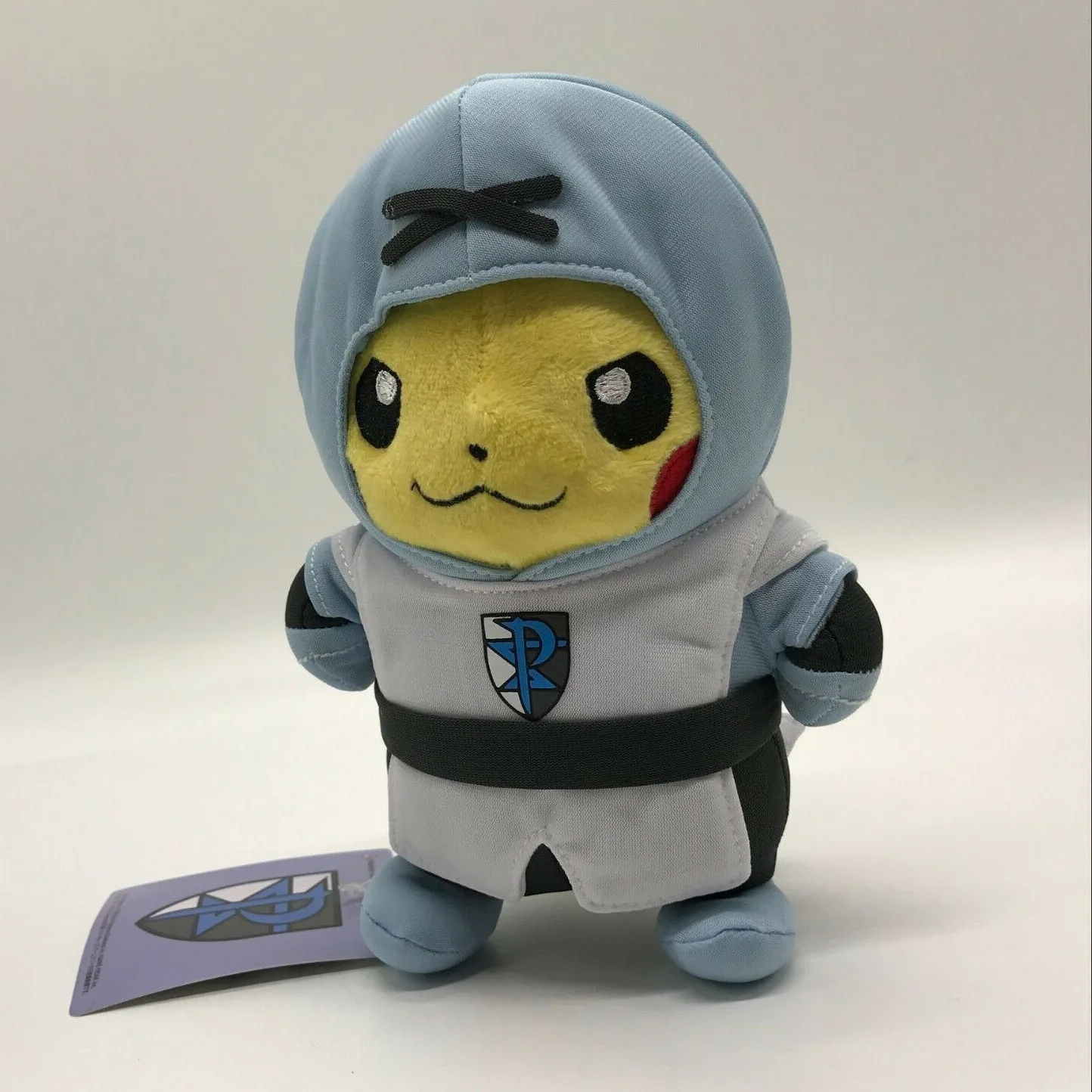 Neo Team Plasma Cosplay