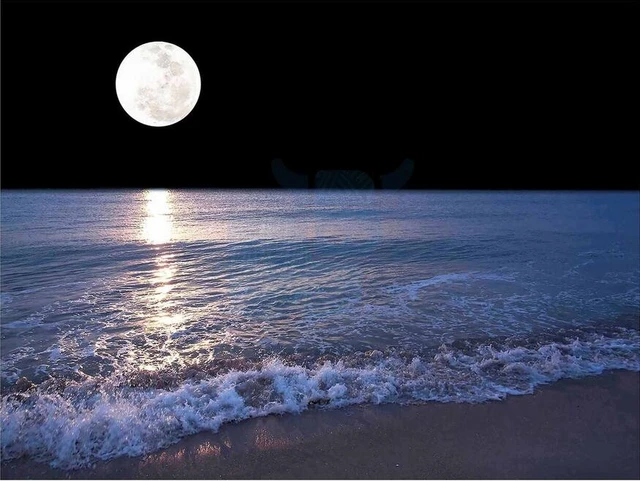 Ocean Tide At Night