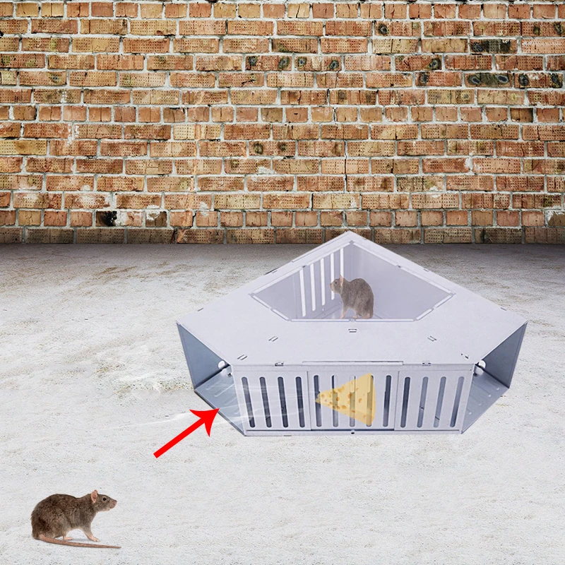 Reusable Large Household Double Door Automatic Continuous Mousetrap ...