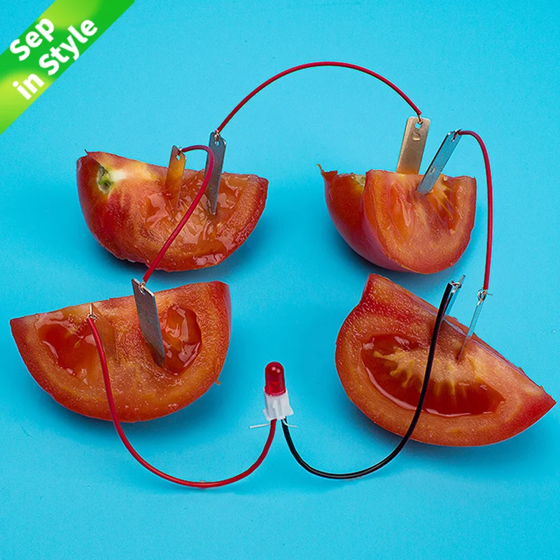 Hot-Bio-Energy-Science-Kit-Potato-Fruit-Supply-Electricity-Experiments ...