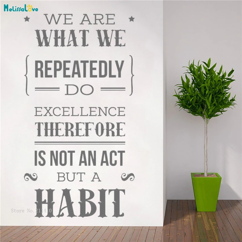 We Are What We Repeatedly Do Poster