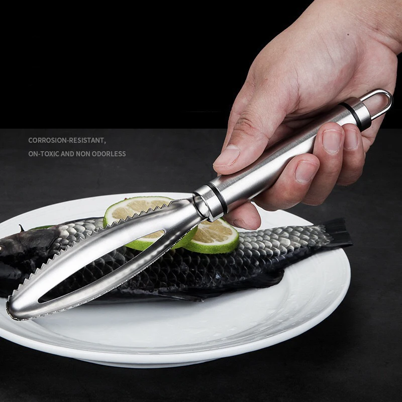 Râpes à écailles de poisson en acier inoxydable,brosse à peau de ...