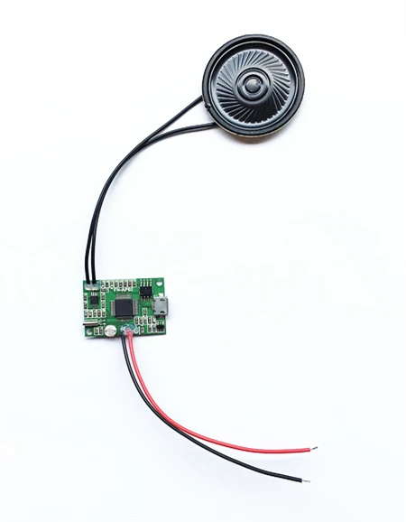 Light Sensor Activated Sound Module For Gift Boxes Light Sensor ...