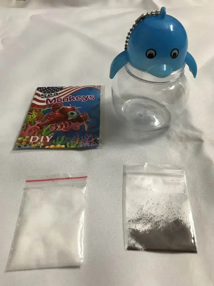 15mm-L-Sea-Monkeys-Egg-Monkey-Eggs-With-An-Aquario-Aquarium-Kit-Magic ...