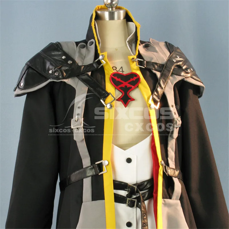 Ansem Kingdom Hearts Cosplay