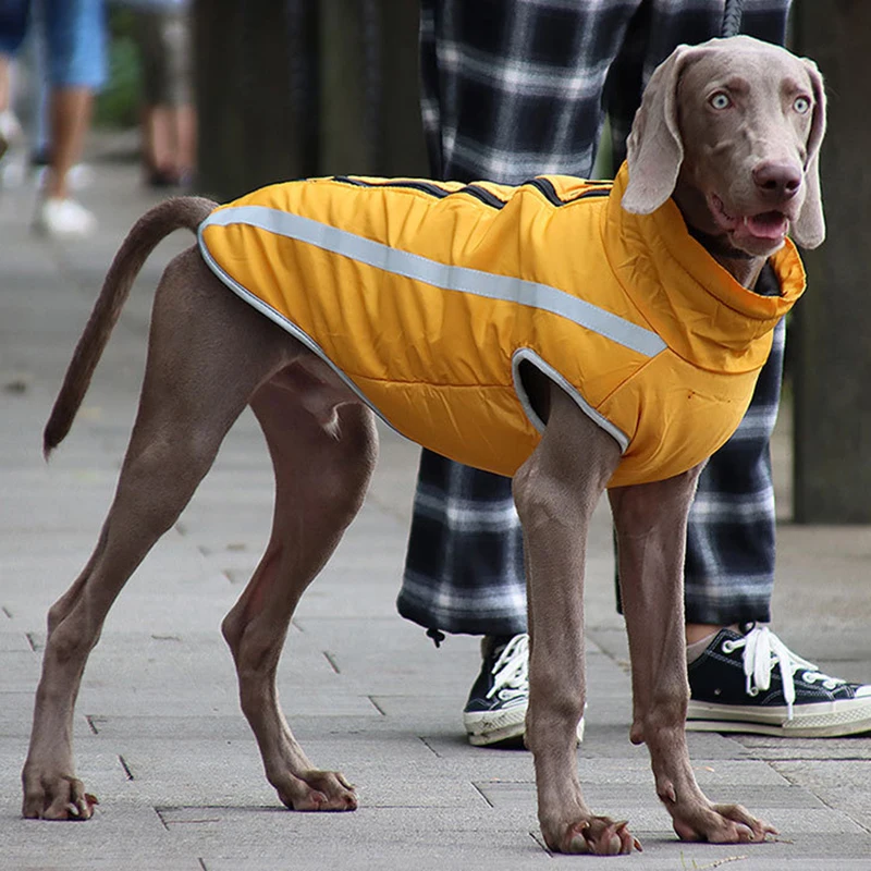 Reflective Pet Dog Clothes for Large Dogs Windproof Big Dog Coat Jacket ...