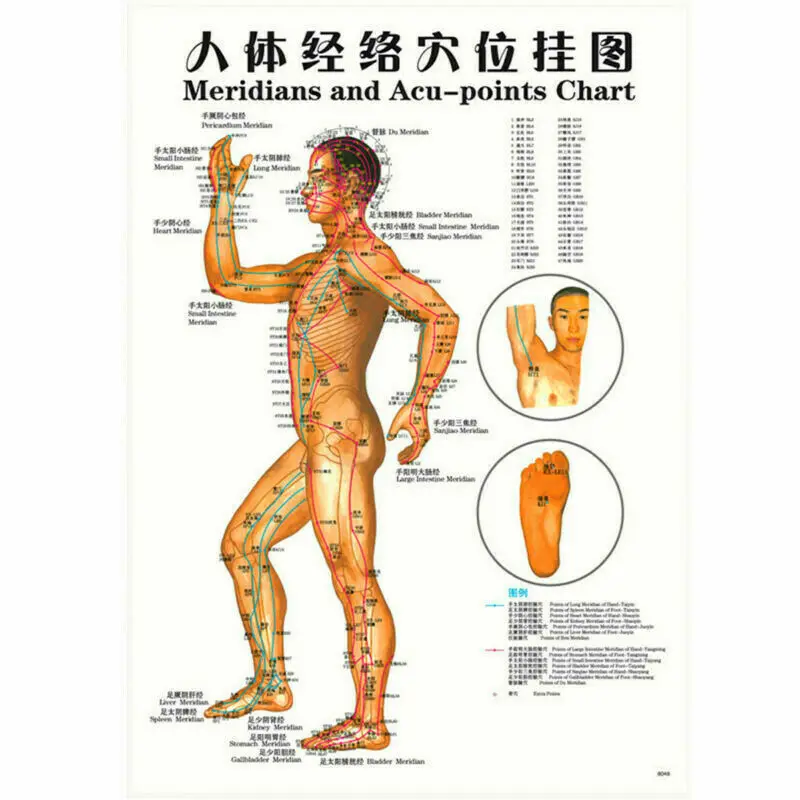 Pressure Point Chart English