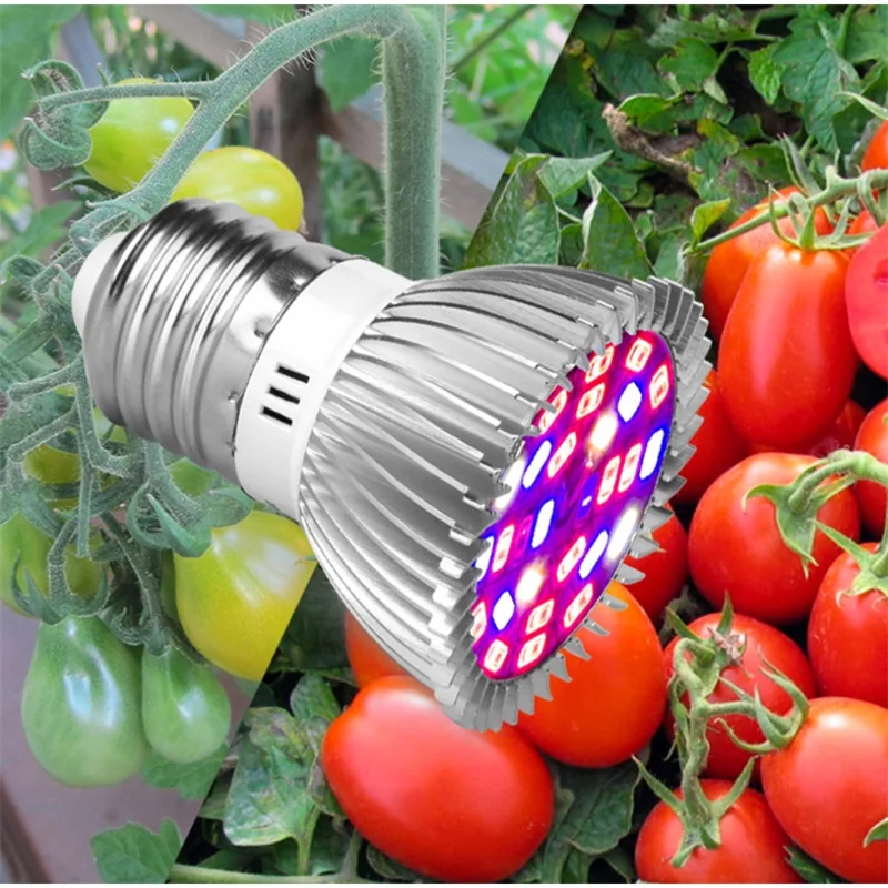 WPD LED Plant Growth Light Red Light Blue Spectrum Light Plant Fill ...