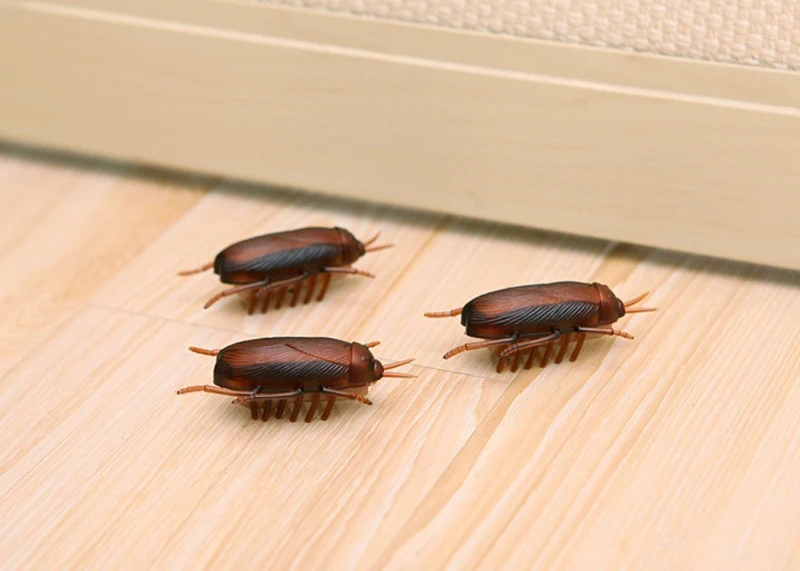 Battery-Powered Cockroach & Mouse Toy For Cats, Electronic Cockroach ...