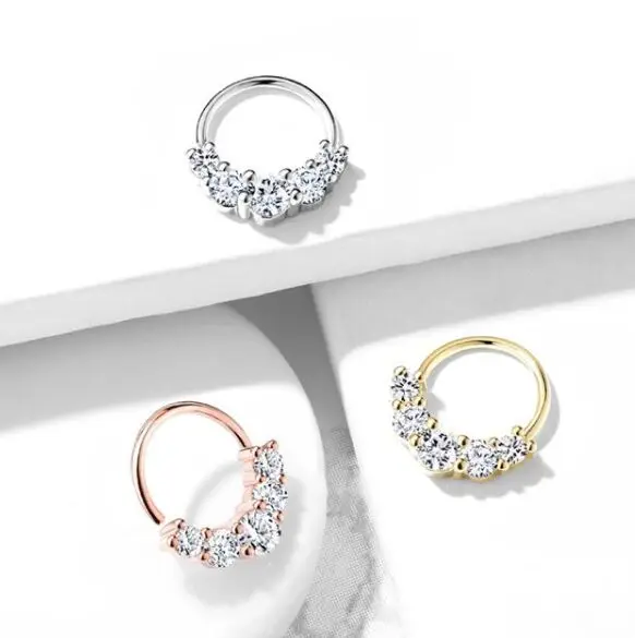 20G Zirkoon Neus Piercing Ring Indian Segment Septum Clicker Neus ...