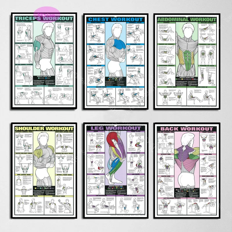 Abdominal Workout Poster
