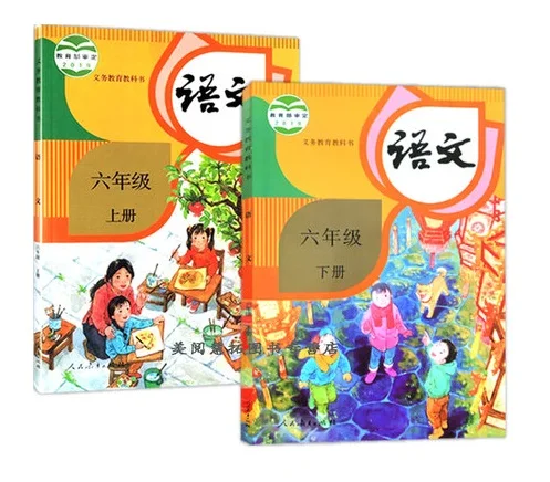 2 Books China Student Schoolbook Textbook Chinese PinYin Hanzi Mandarin ...