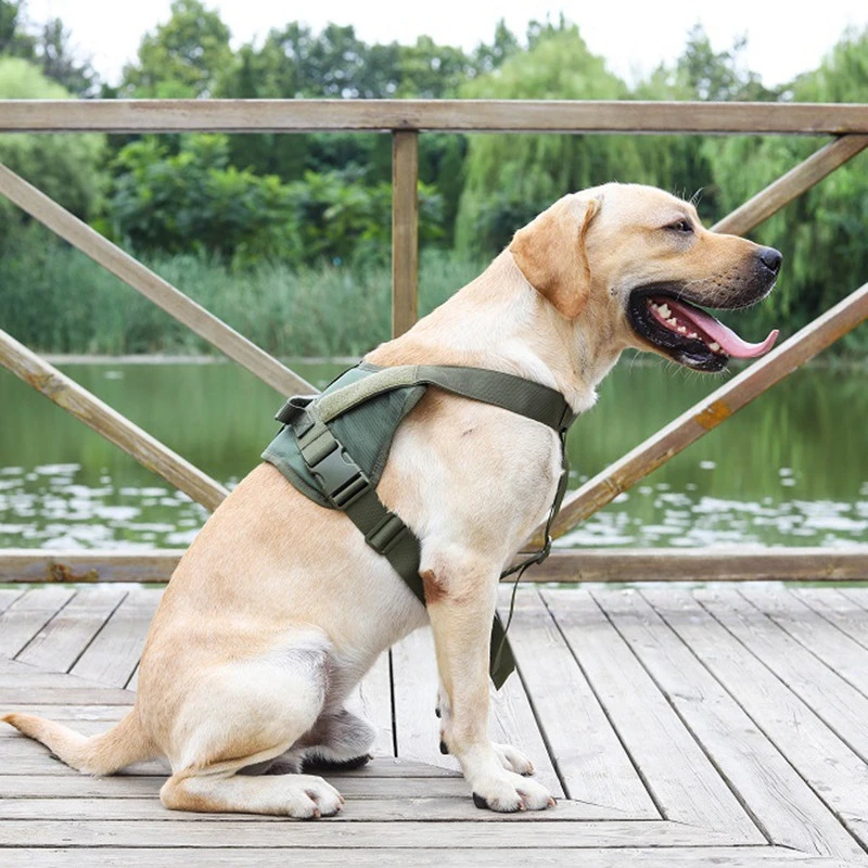 Labrador Retriever Hunting Vest
