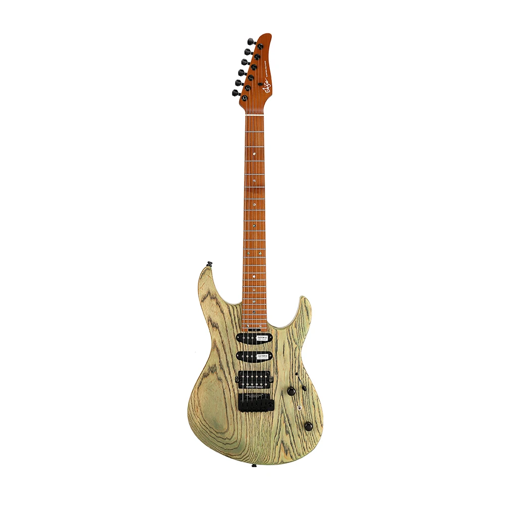 Shijie Guitars ShijieGuitars TMS Custom Handmade Electric guitar guitarra