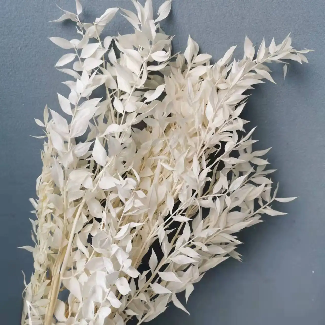 30g-40cm-Natural-Dried-flowers-white-Fugui-Leaves-Branches-Display ...
