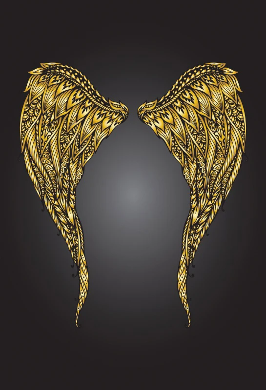 Angel And Devil Wings Wallpaper