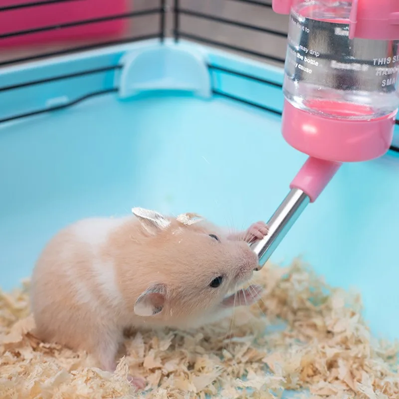 Hamster Drinking Water